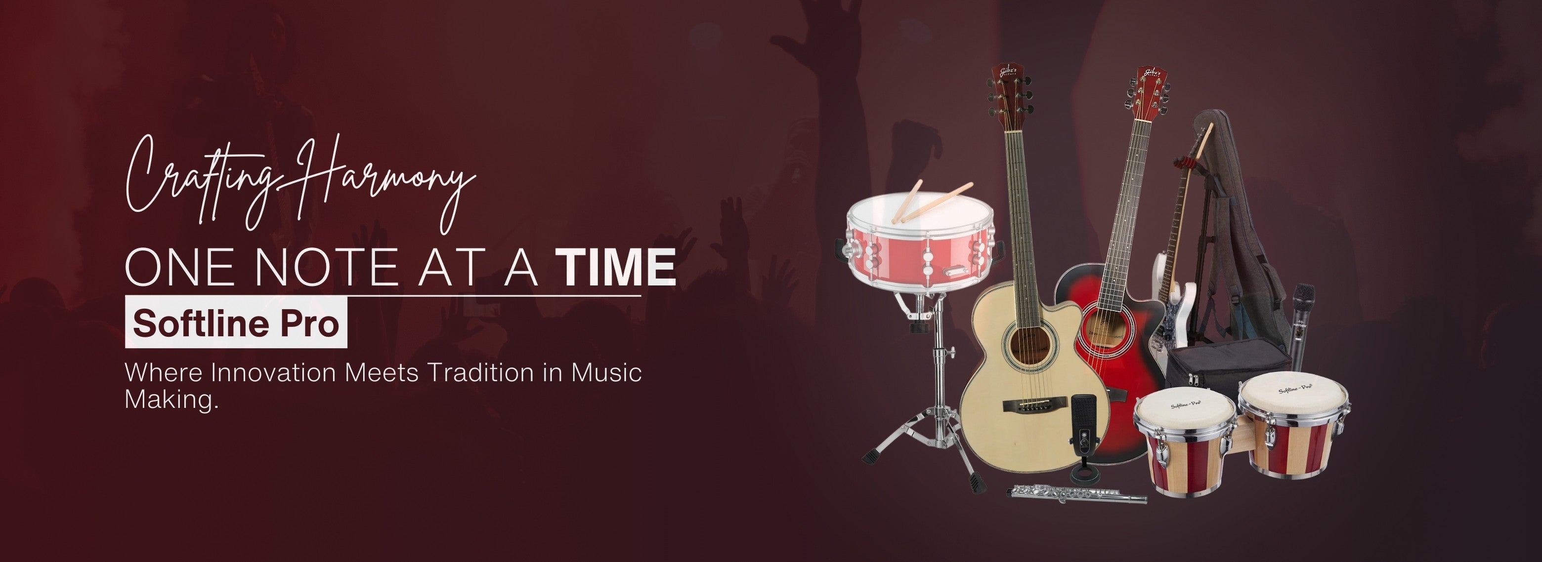 Buy Accessories (as listed in the breadcrumbs – Softline Pro
